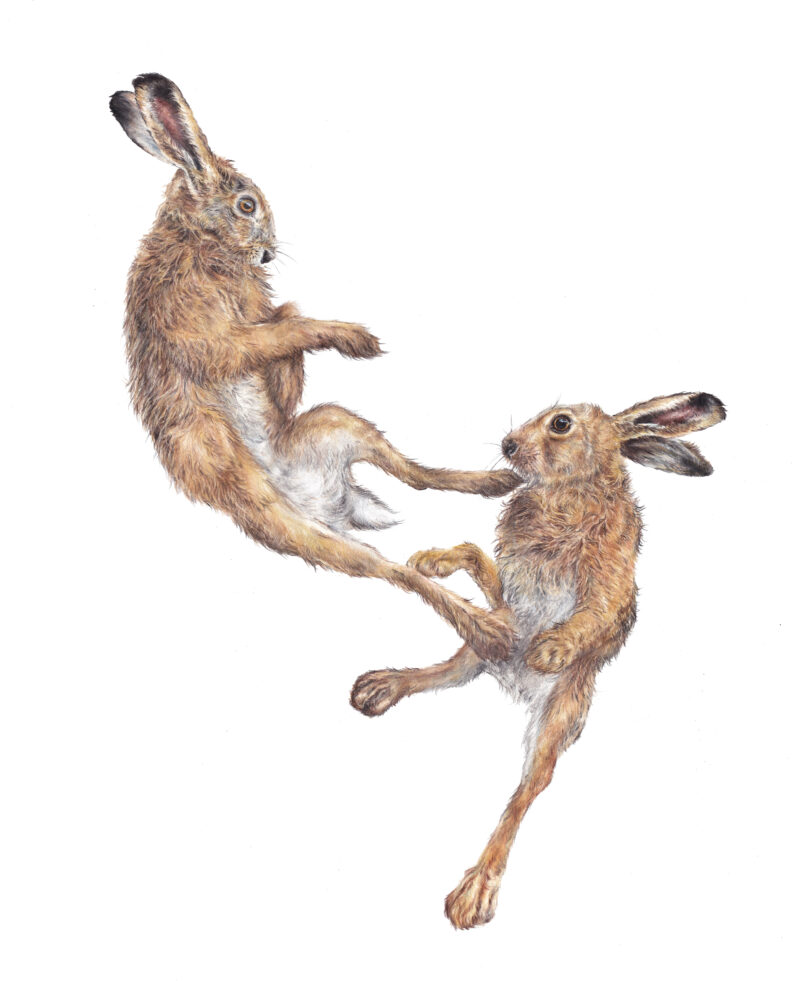 Kate Simpson Fine Art | Gifts Instead of Flowers